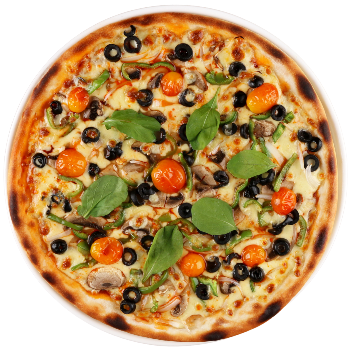 Delish Pizza - Calgary